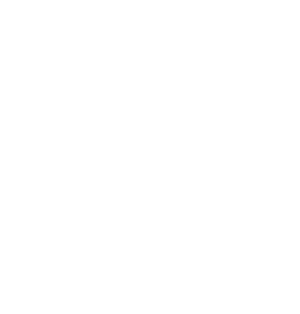 Salsify Services | Salsify